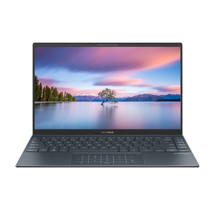 ASUS ZenBook 14 UX425JA-BM191T Laptop - Specs, Performance, Compare ...