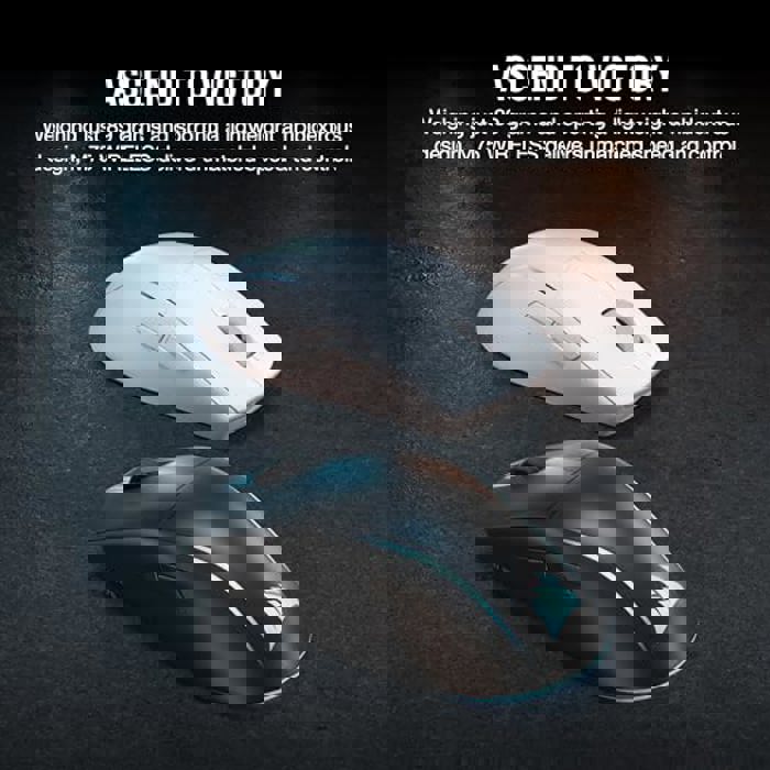 Corsair M75 Wireless Black vs SteelSeries Aerox 5 Wireless Mouse Comparison | Pangoly