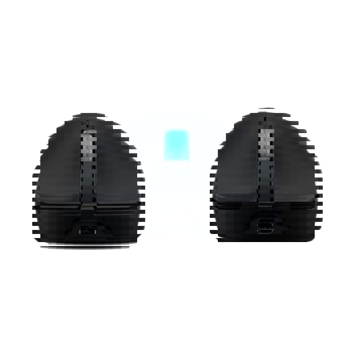 ASUS ROG Harpe II Ace vs EVGA X12 Mouse Comparison | Pangoly