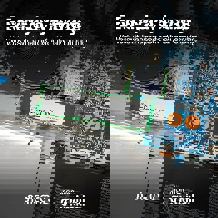 Crucial E100 2TB vs Mushkin Enhanced Pilot-E 500GB SSD Comparison | Pangoly