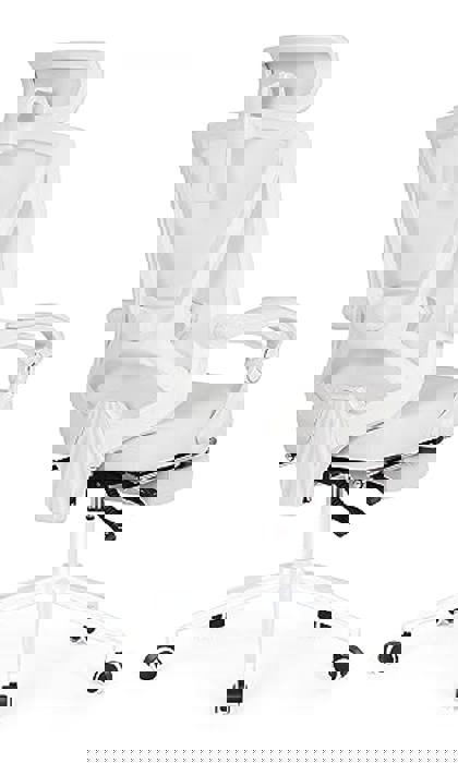 Misolant Ergonomic Office Chair with Footrest, Desk Chair with ...