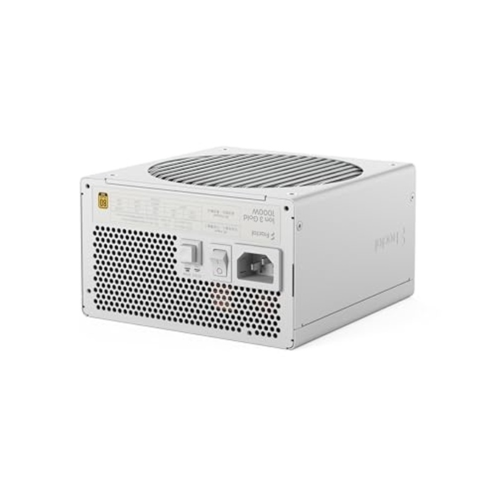 Fractal Design Ion 3 Gold 1000W White vs Seasonic FOCUS FM SSR-550FM ...