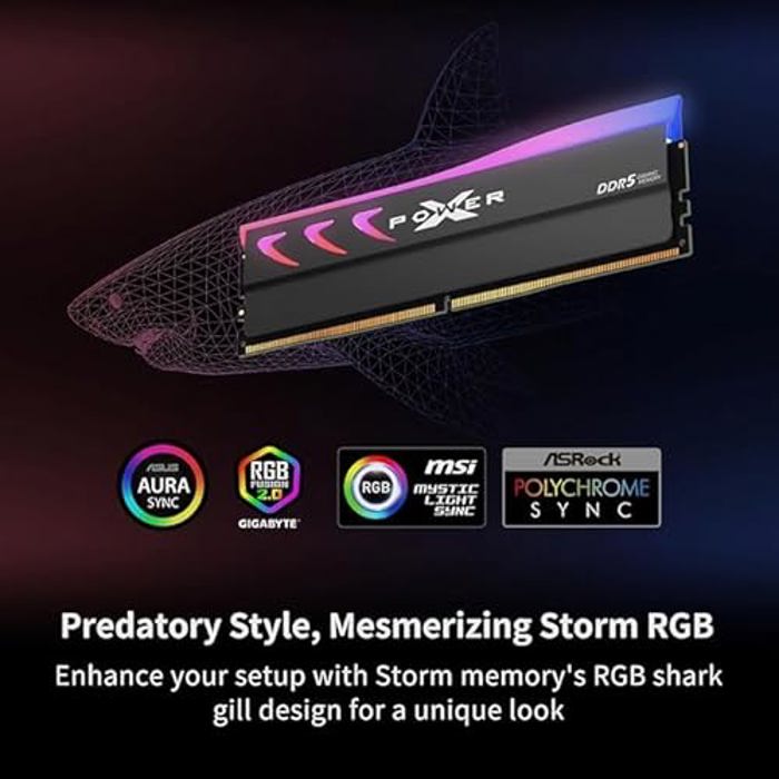 Silicon Power XPOWER Storm RGB 64GB (2 x 32GB) DDR5 6000 vs Storm RGB ...